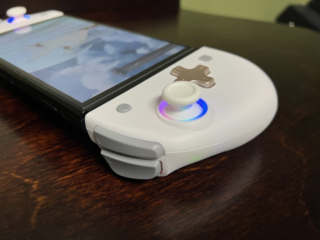 Review: DOYOKY RGB Joy Pad Controller for the Nintendo Switch ...